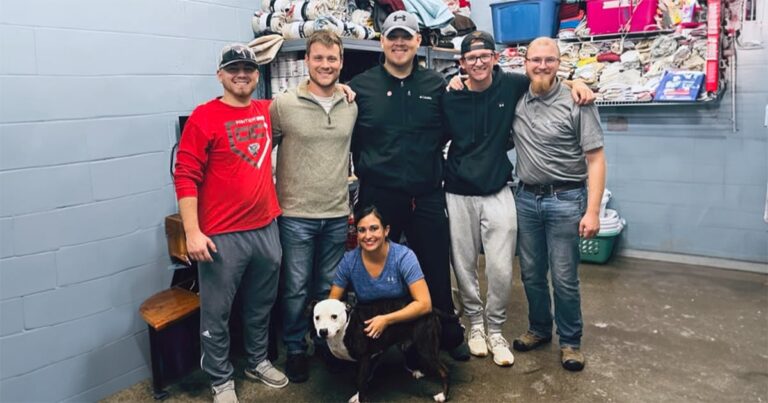 Proven Probiotics. Precise Application. Superior Sampling | Hollison